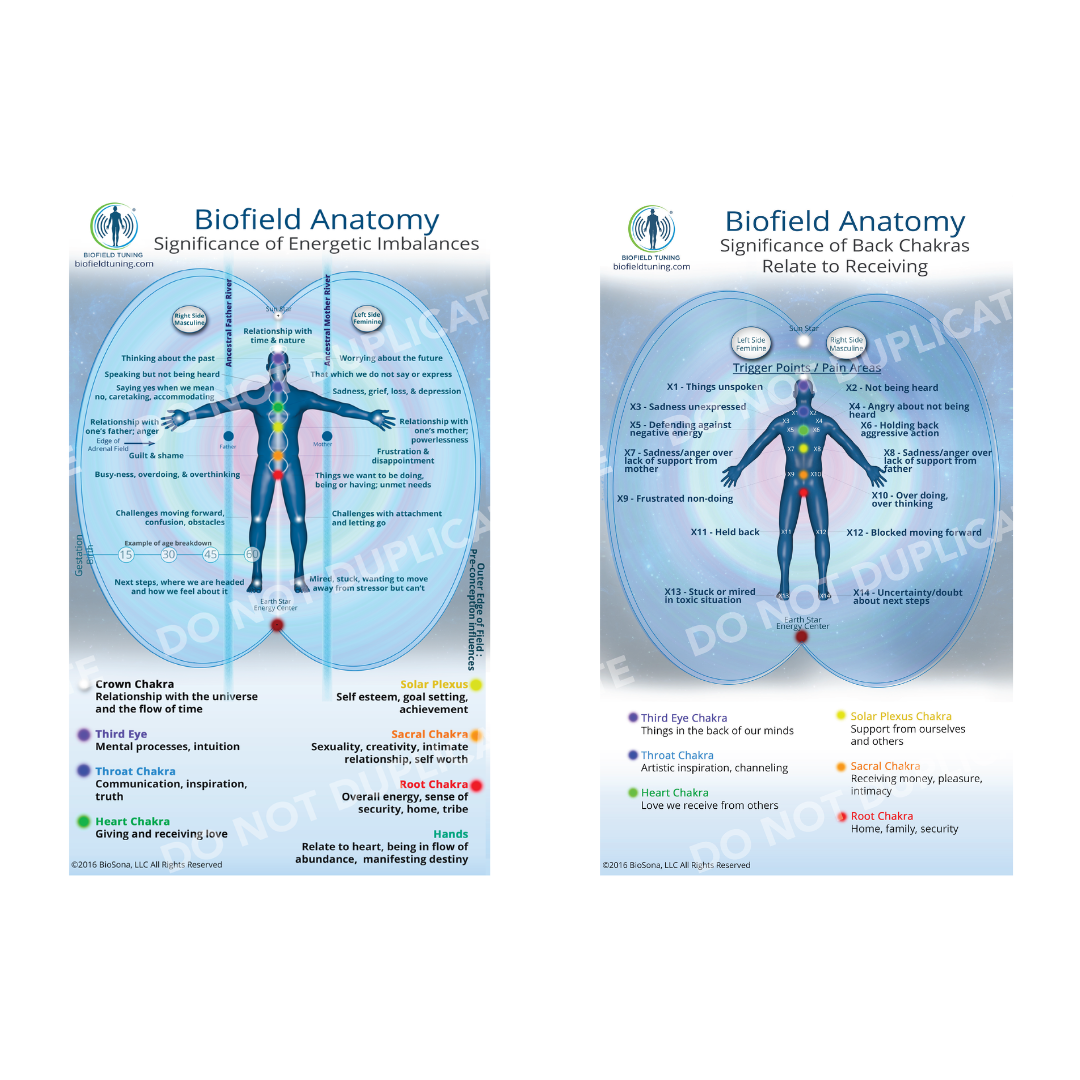 Biofield Tuning | Digital Small Biofield Anatomy Map – Biofield Tuning ...